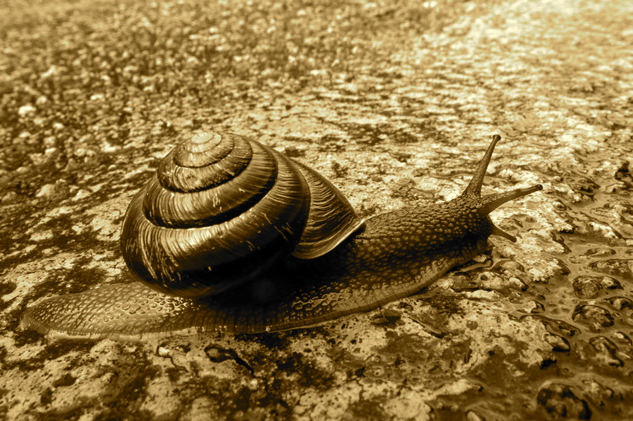 A Year of Being Here: Ruth Moose: "The Crossing"