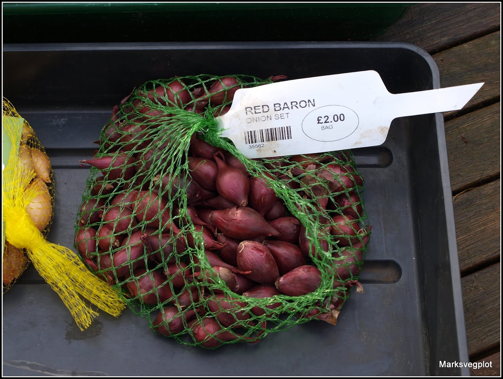 Mark's Veg Plot: Planting Onion sets