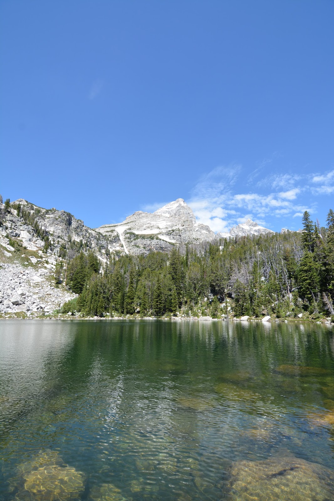 Lea and James' Excellent Adventure: Le Grand Teton and Surprise Lake