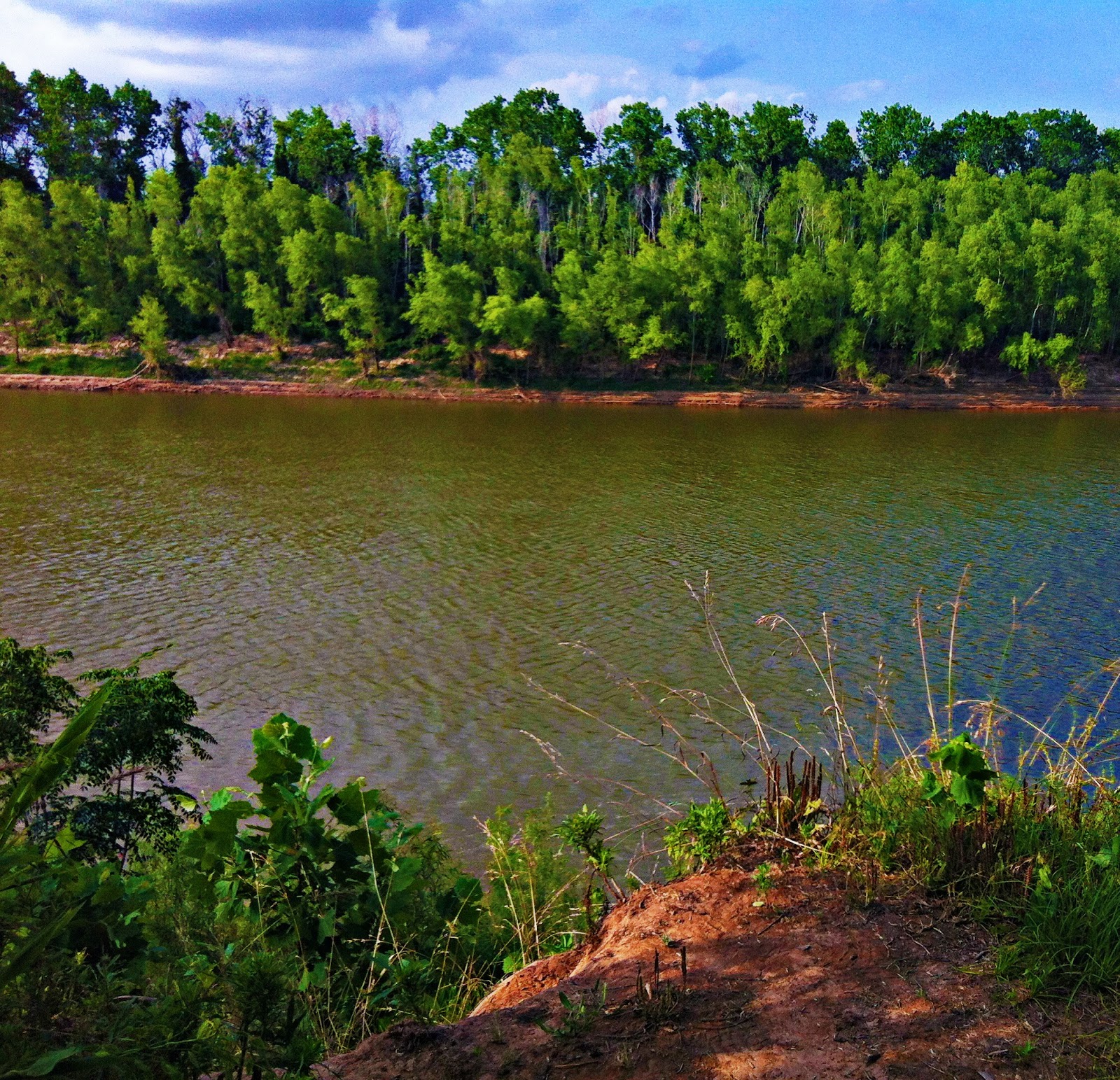 Life Is A Journey: Stephen F. Austin State Park