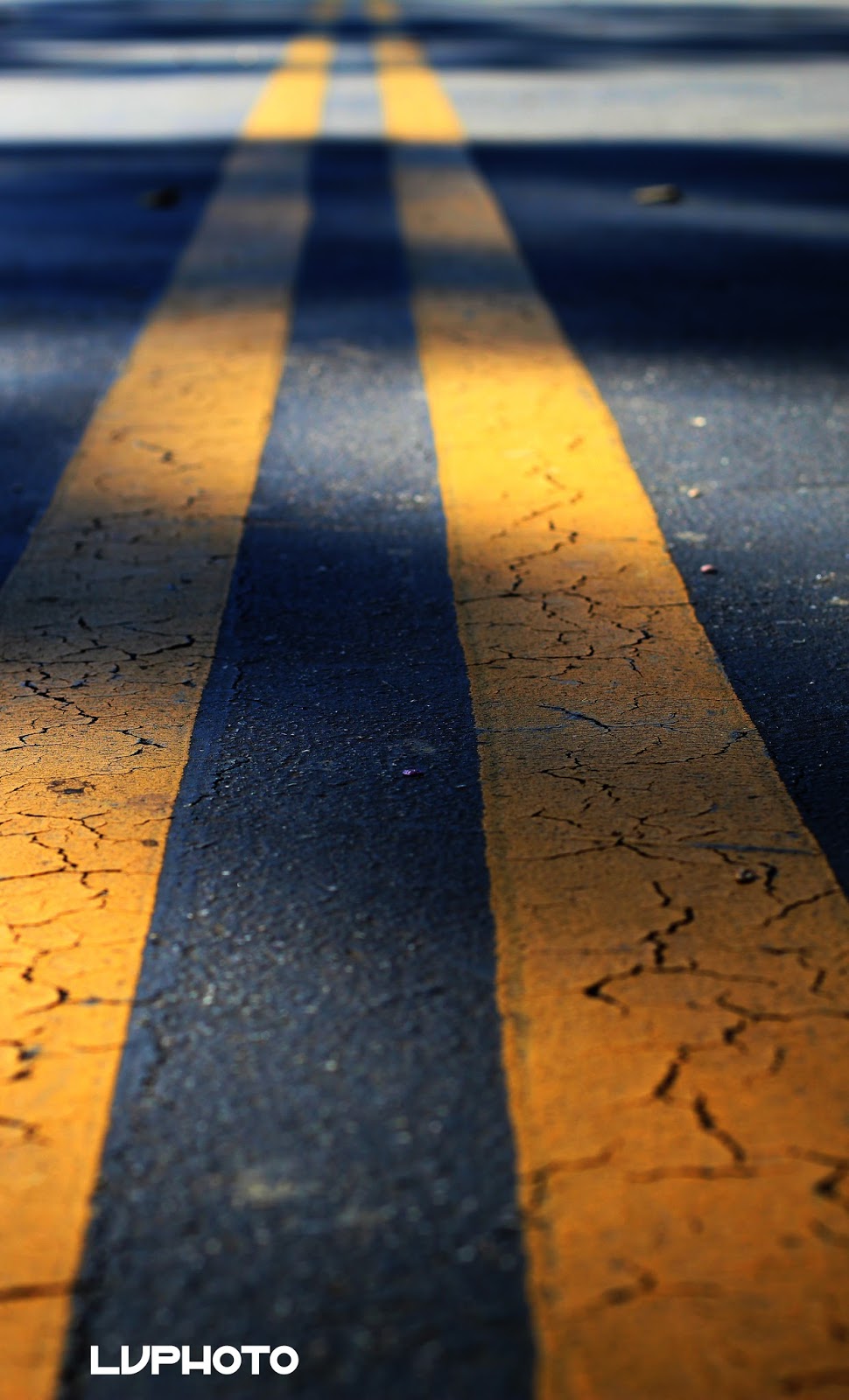 Leading Lines Assignment - CVHS Photography