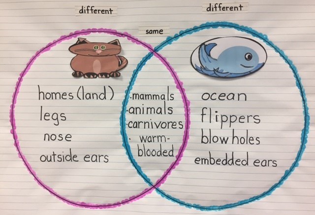 Reading2success: Comprehension - Compare and Contrast Activity