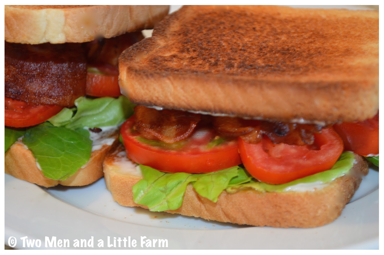 Two Men and a Little Farm: BLT SANDWICHES WITH GARDEN FRESH TOMATOES