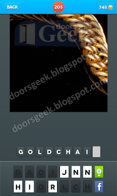 Zoomed In - Photo Word Game Level 205 ~ Doors Geek