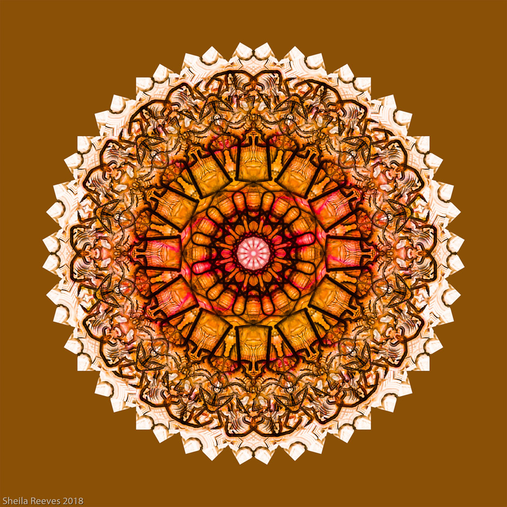 Sunny Sixteen Camera Club How To Make A Kaleidoscope Pattern From Your Sunny Sixteen Camera Club How To Make A Kaleidoscope Pattern From Your