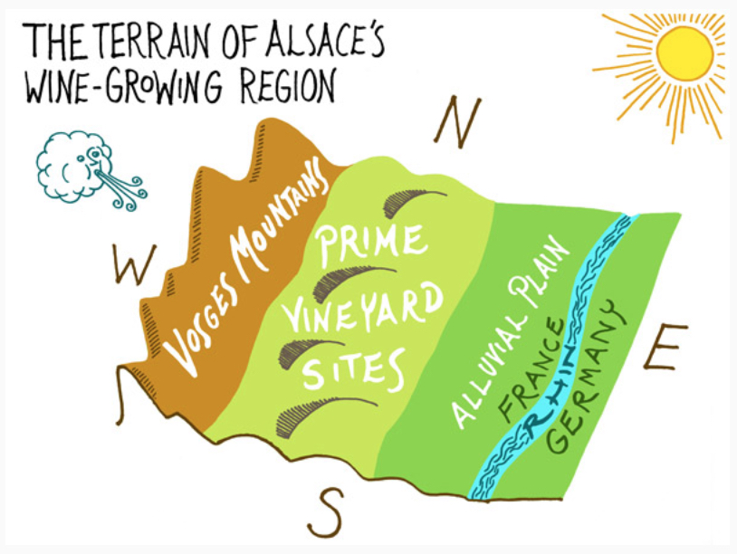EnoViti: Alsace Part 2: The Geology - The Layout of the Land