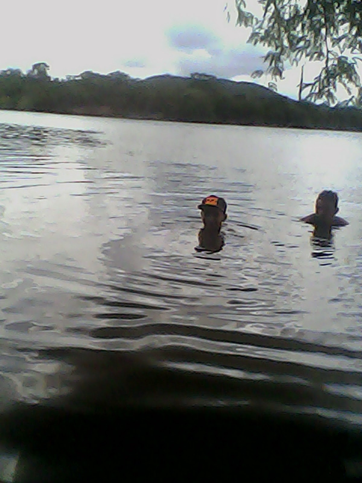 #LEANDROSANTOS: Galera de Maravilha e Furtuoso Curtindo o Feriado no ...