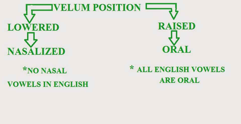 English Vowels: Classification of Vowels