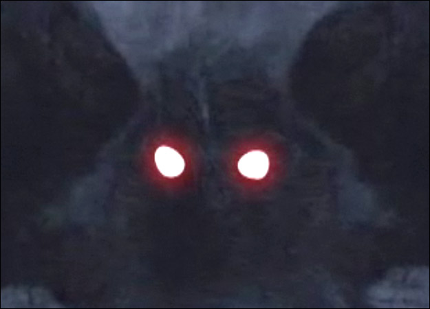 The Paranormalistics: The Owlman
