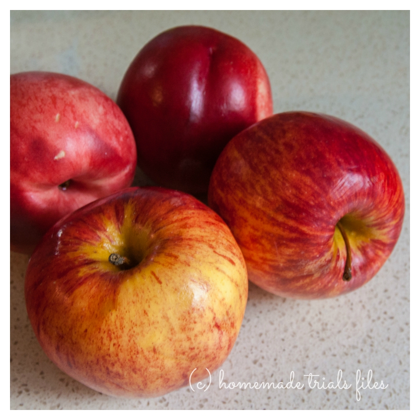 My Homemade Trials Files: {Basic Fruit Purée}