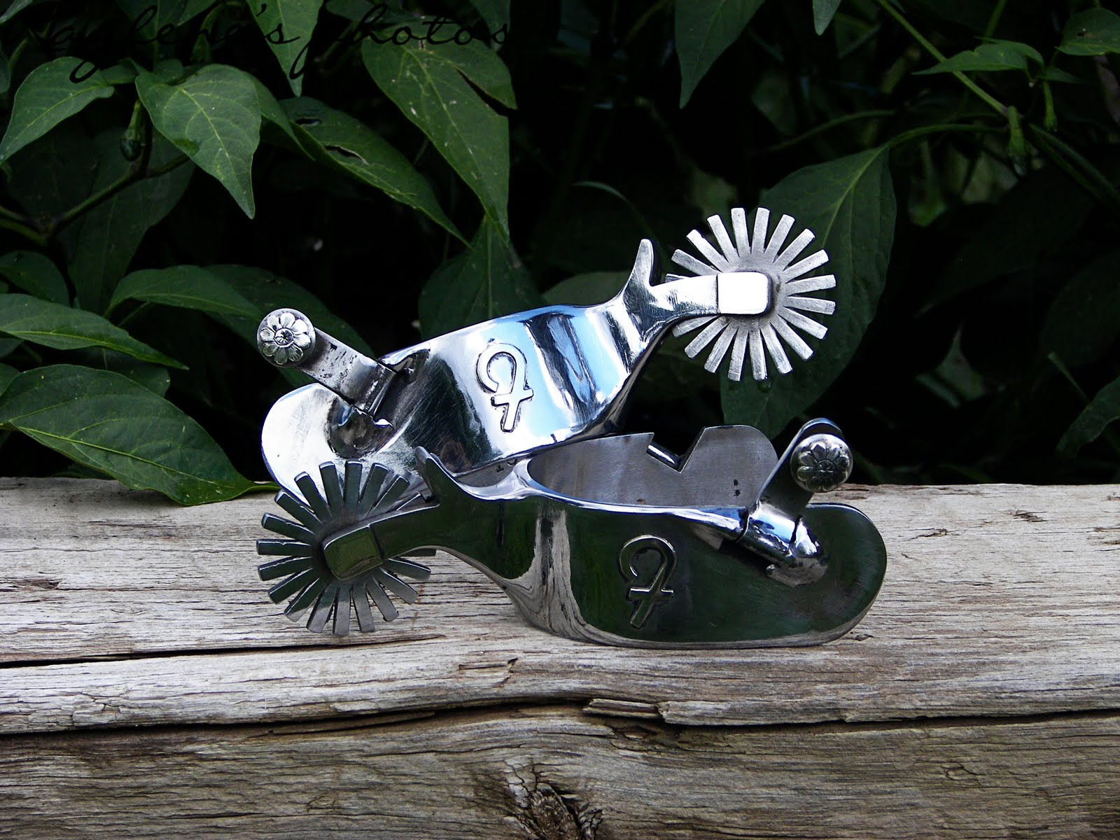 Cowboy Custom Spurs: September 2011