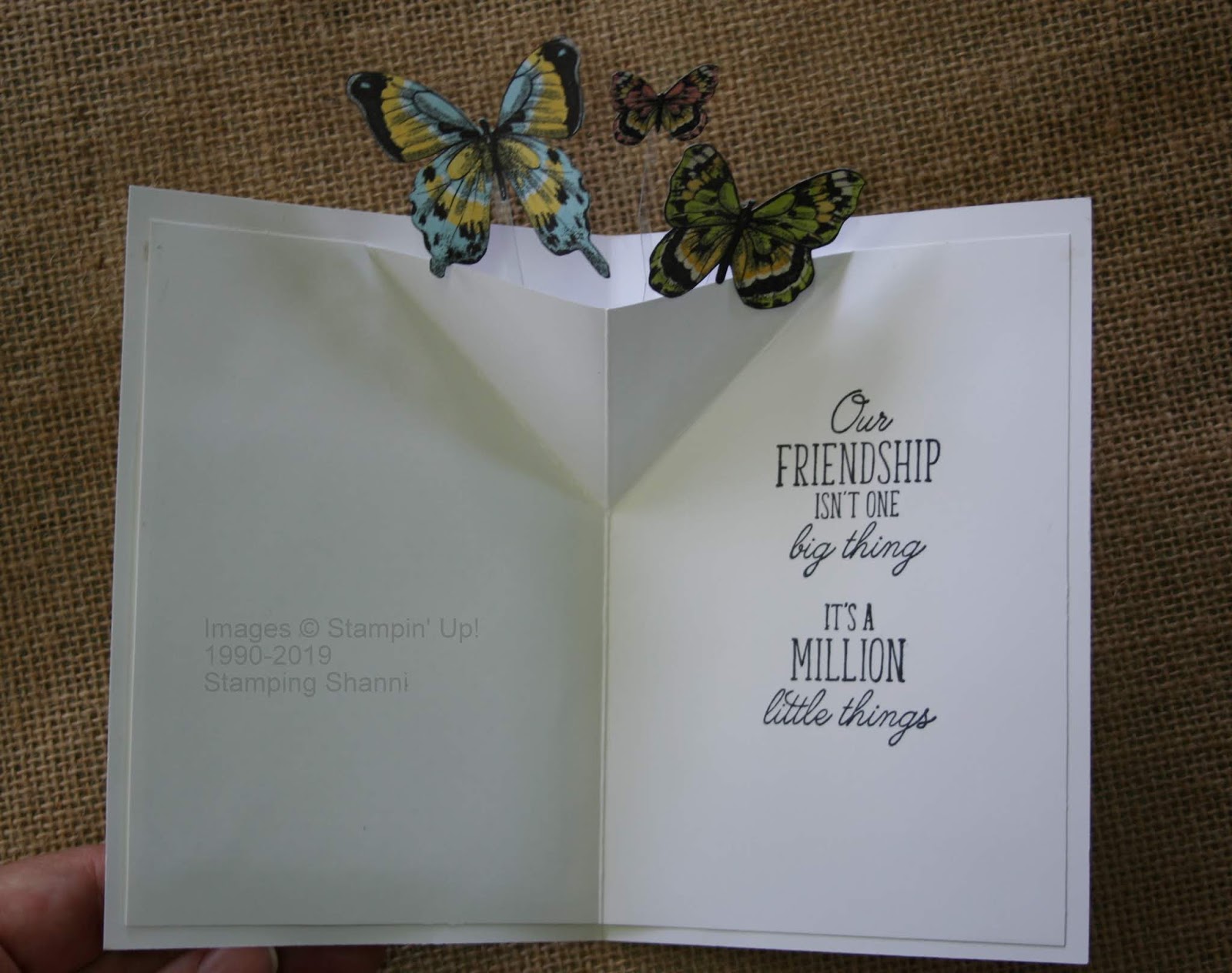 Stamping Shanni: Fancy Folds - V Fold Cards