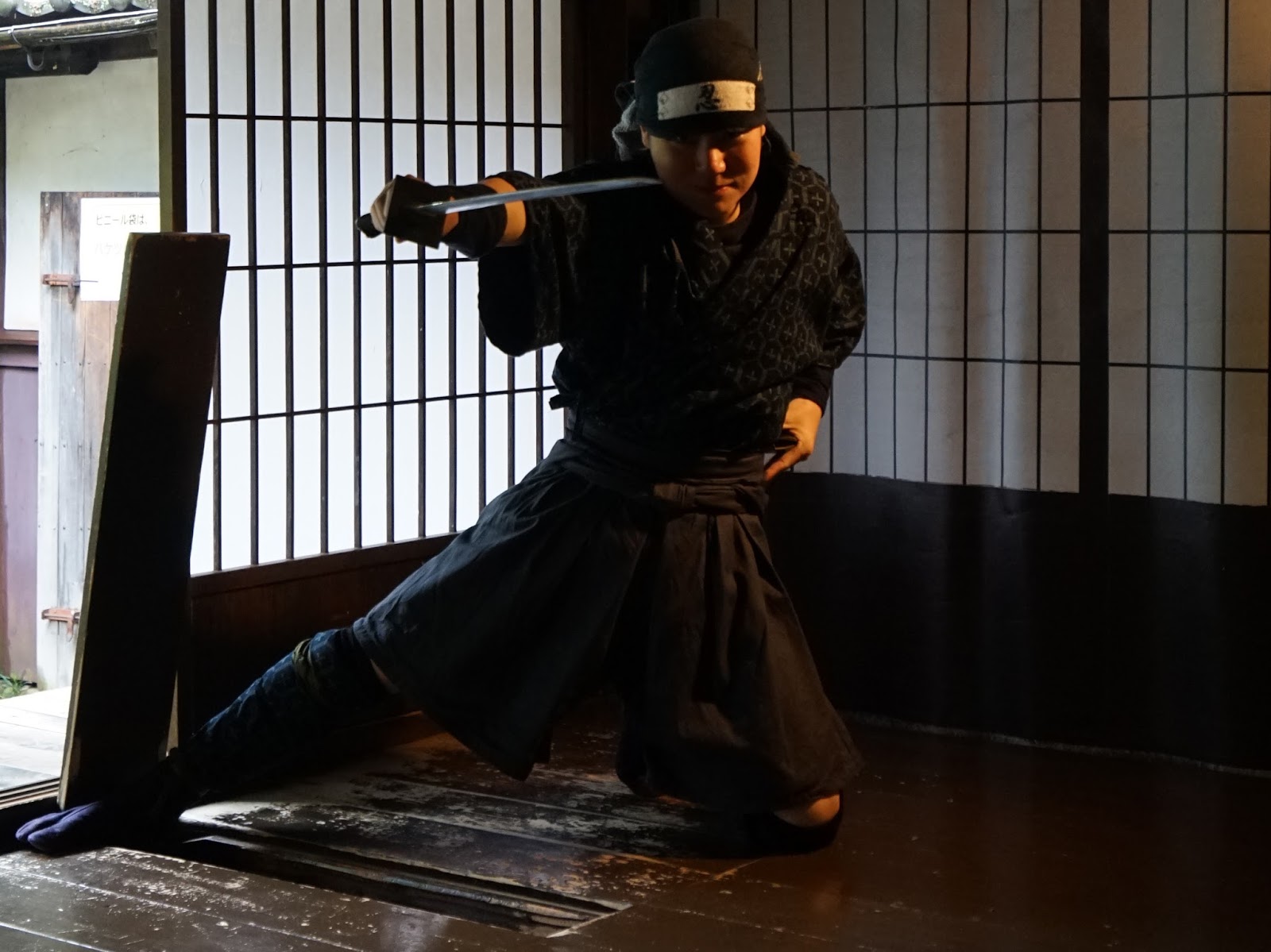 Views in and around Kyoto: Ninja experience in Iga and peaceful garden ...