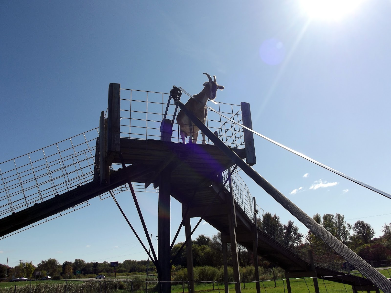 Alpine Township Website Companion: Pure Michigan -Simply Alpine Township