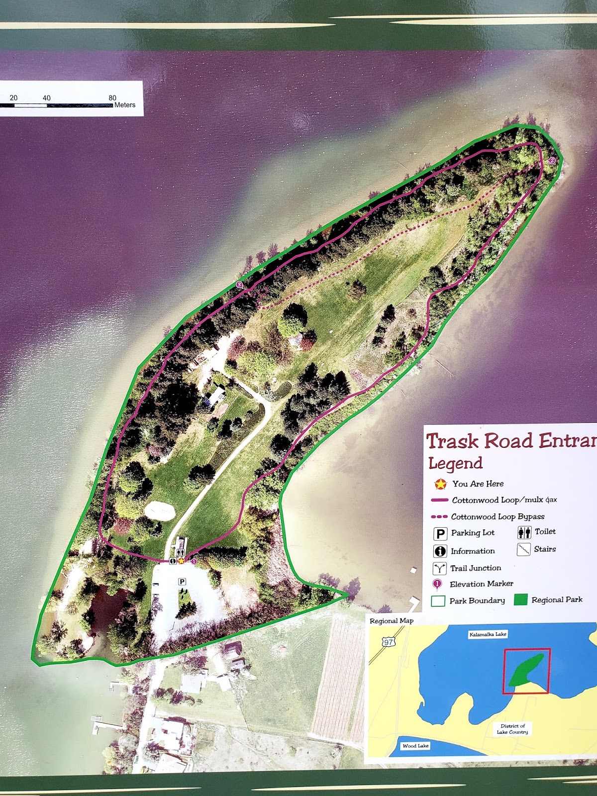 History and Stuff: A Brief History of Kaloya Regional Park (On ...