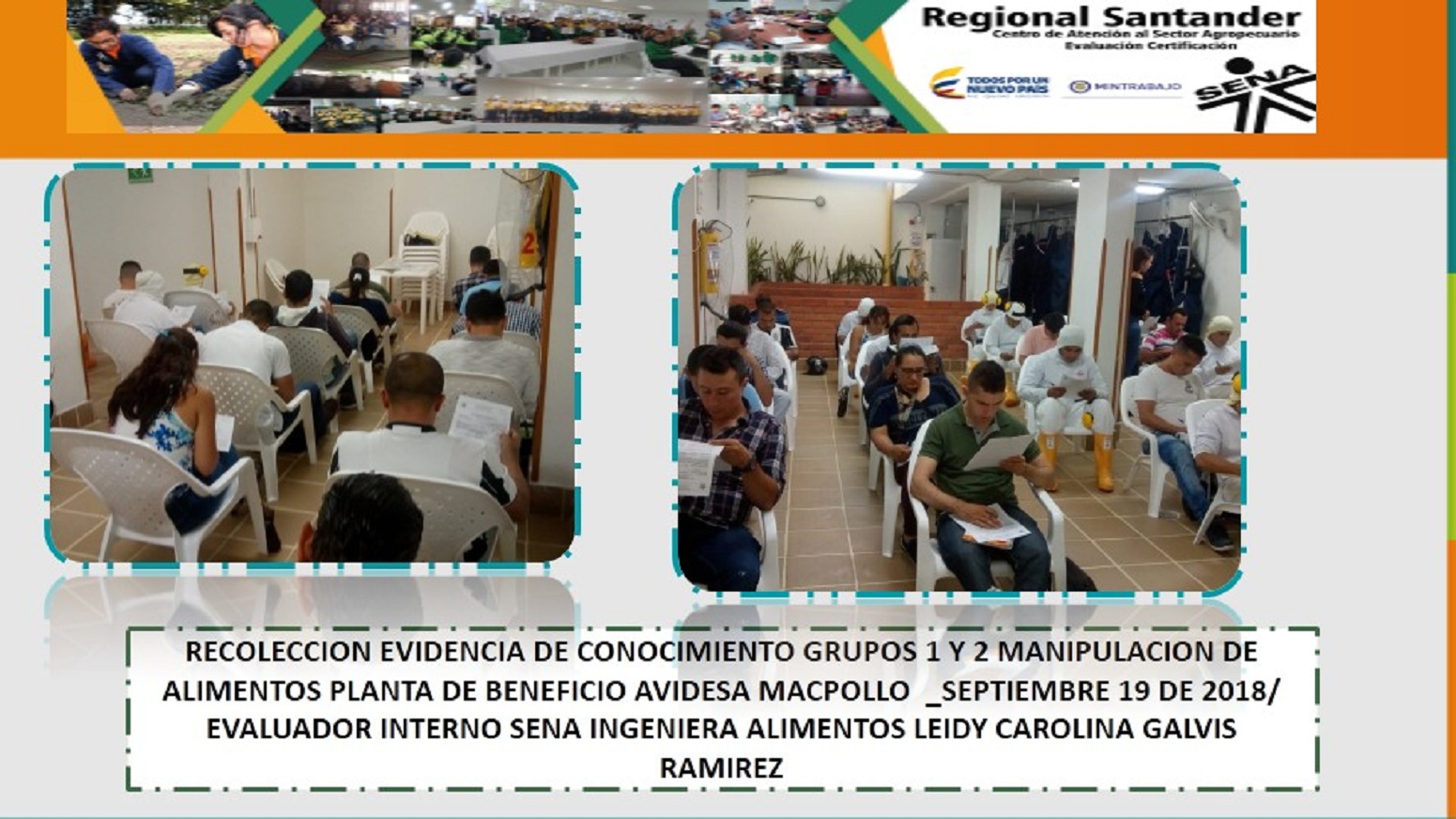 C18: Proceso AVIDESA MACPOLLO PN 4327 Avicola 2018