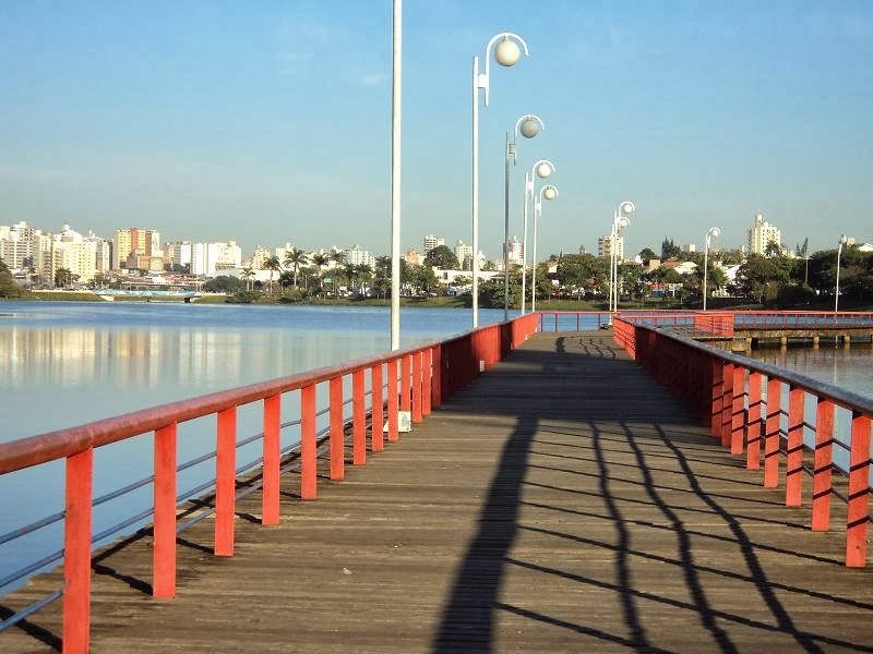 JOSÉ BONIFÁCIO-SP ( Natureza, Meio Ambiente, Cidadania) : IMAGENS ...