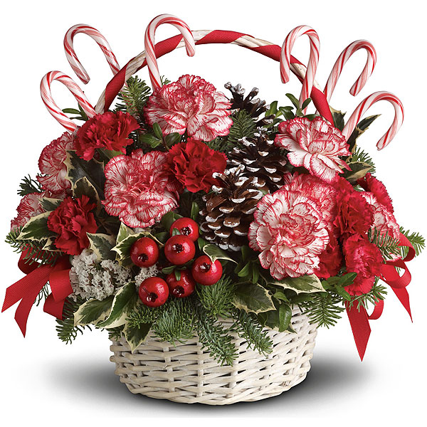 Cozy Christmas Corner: The Story of the Candy Cane