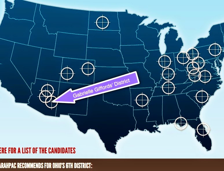 and several butcher's aprons.: Pain Per View - The Sarah Palin Channel