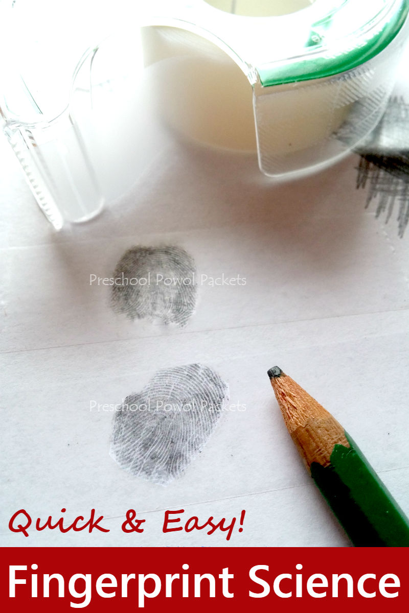Christmas Supplies STEM Investigation: Tape Fingerprints | Preschool ...