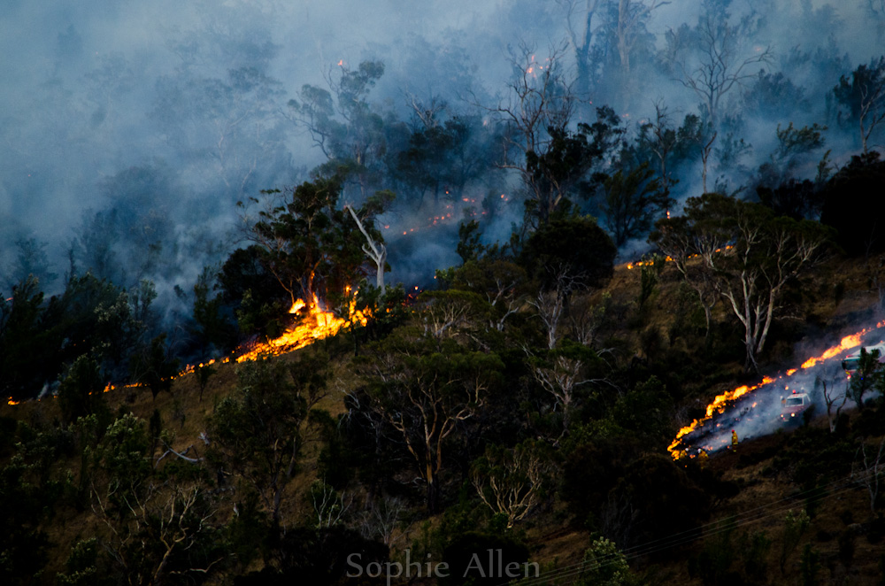 iSophie: The -worst- day ever! (Bushfires)