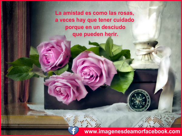 Postales para amistad linda Rosa | Las Mejores Frases y Imagenes De Amor