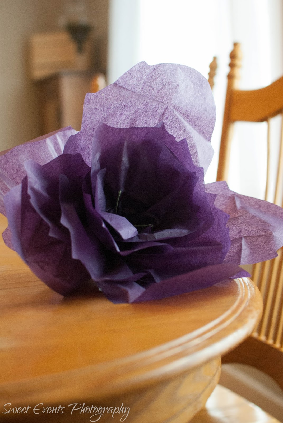 Sweet Events Photography: Giant Tissue Paper Flowers: A Photo Tutorial