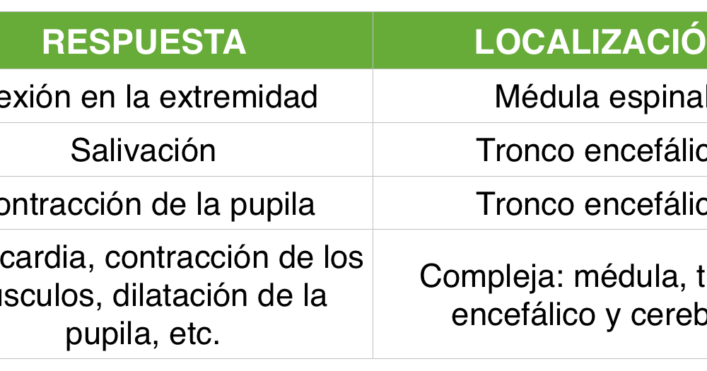 Trazando camino: Aprendizaje y conductas innatas