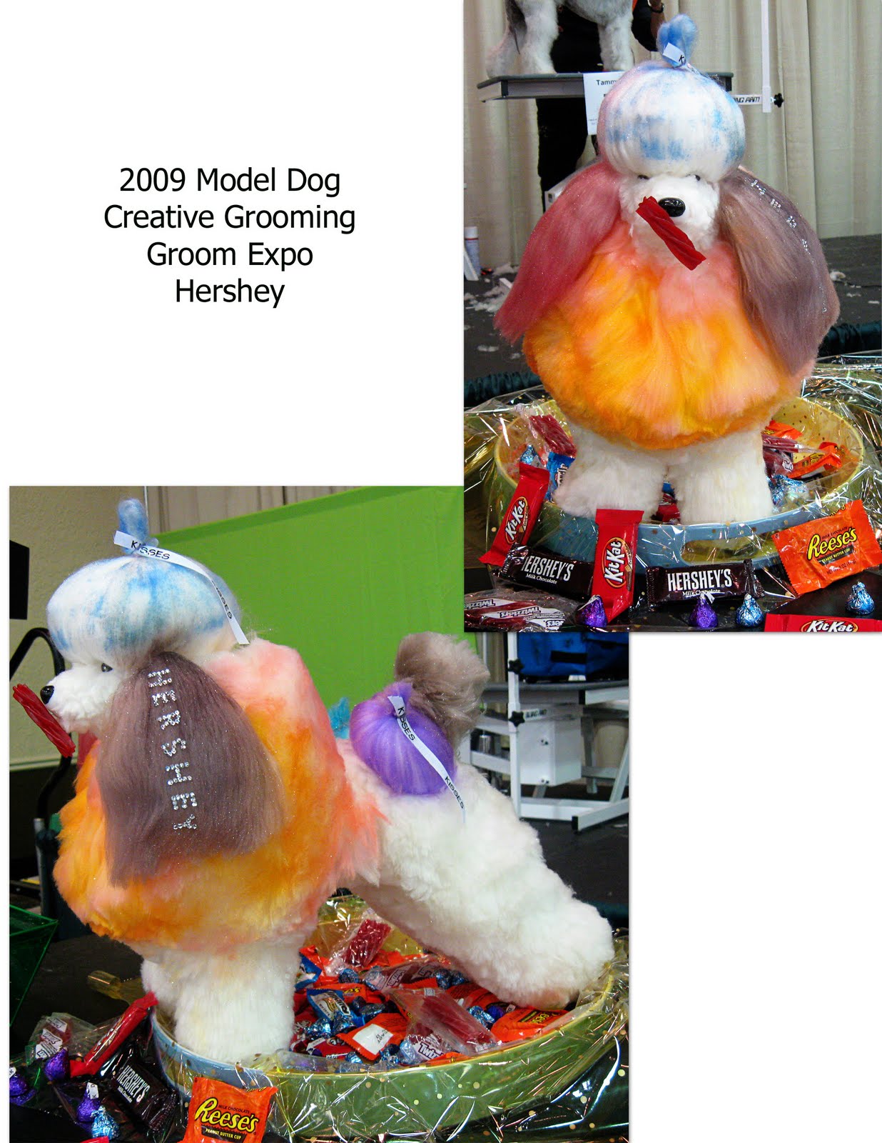 Pet Grooming: The Good, The Bad, & The Furry: Model Dog Grooming