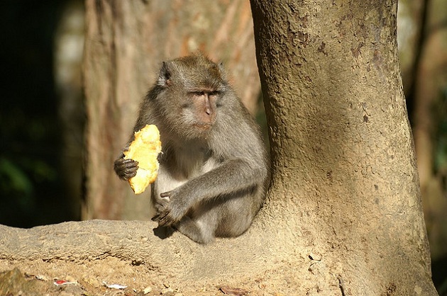 Wisata Nusa Tenggara Barat - THE COLOUR OF INDONESIA
