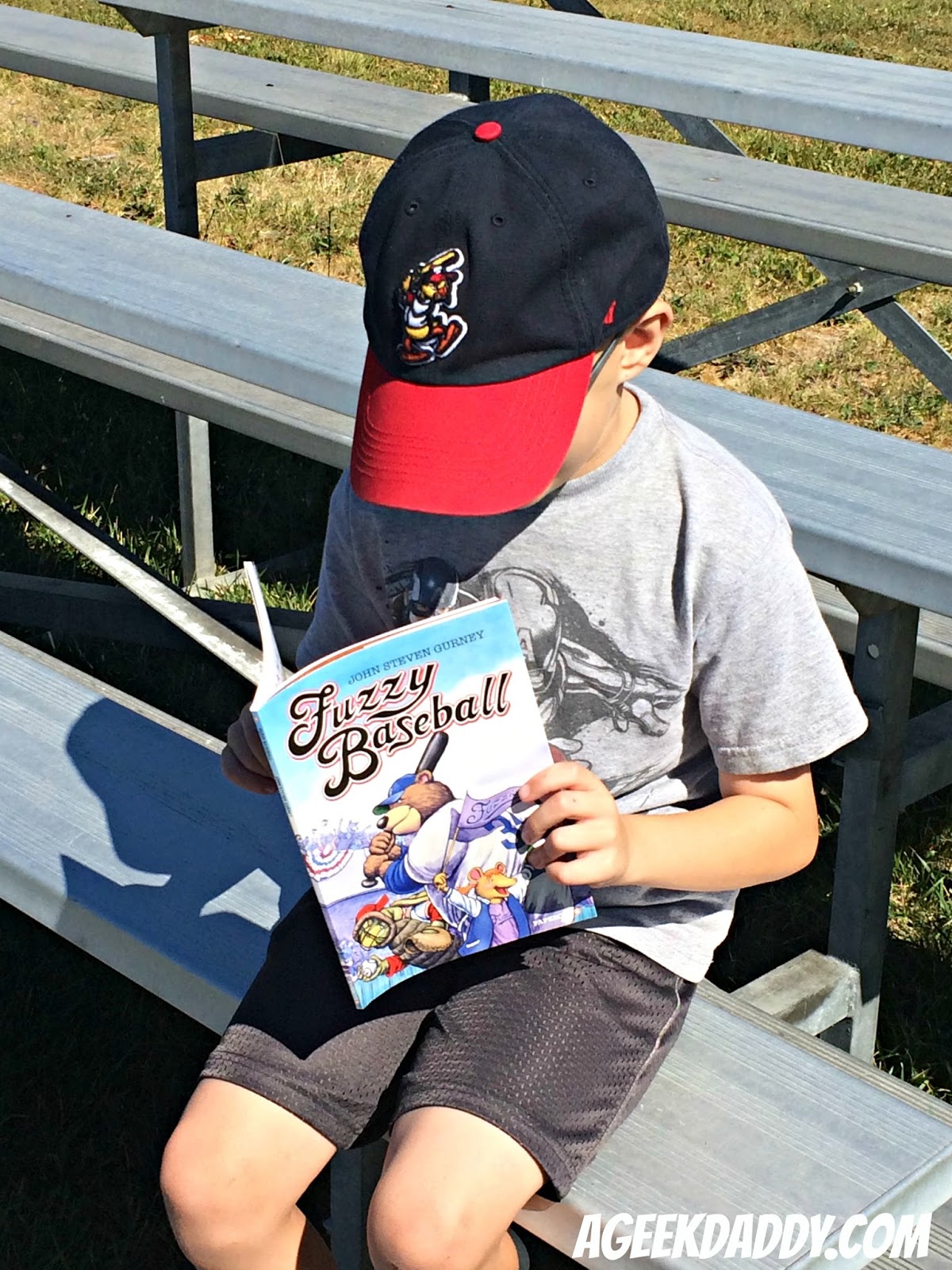 A GEEK DADDY: Fuzzy Baseball by John Steven Gurney