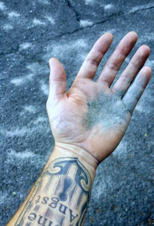 chance the pants: In the Ash We Fall - The Story of Meeting Elspeth