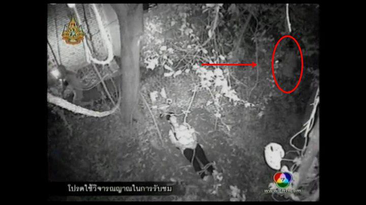 Media center for Mysterious Phenomenon, community, recipes, and Health ...