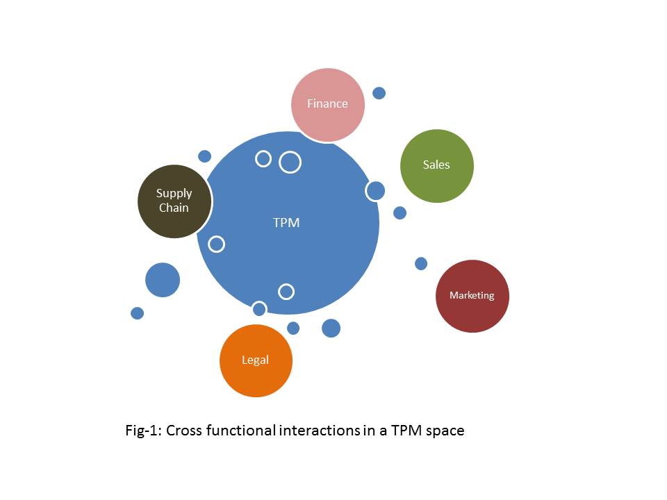 TPM - Business Functions & IT systems: Trade Promotions Management ...