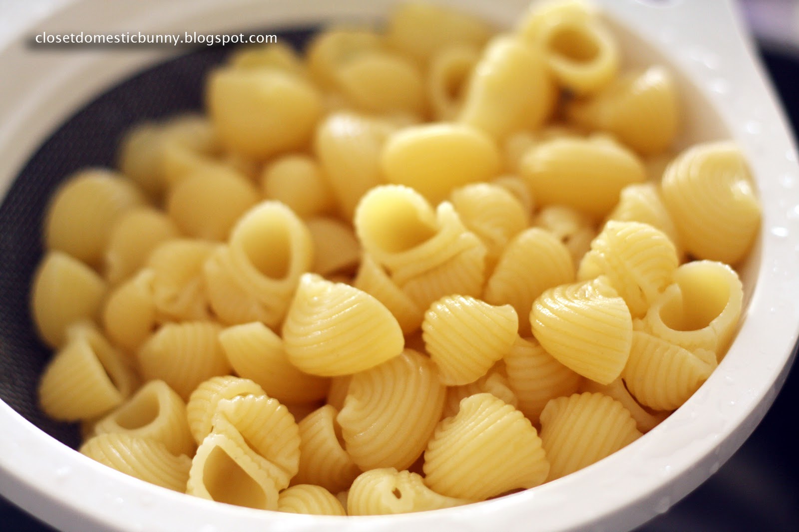 cooking. eating. carousing.: pipe rigate alla crema verde