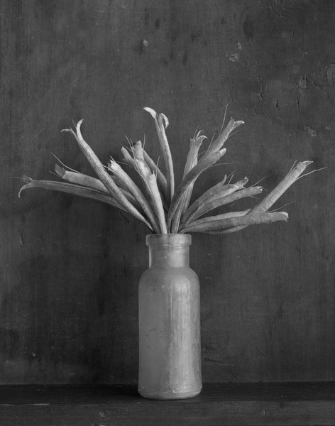 photo-eye | BLOG: Interview: James Pitts