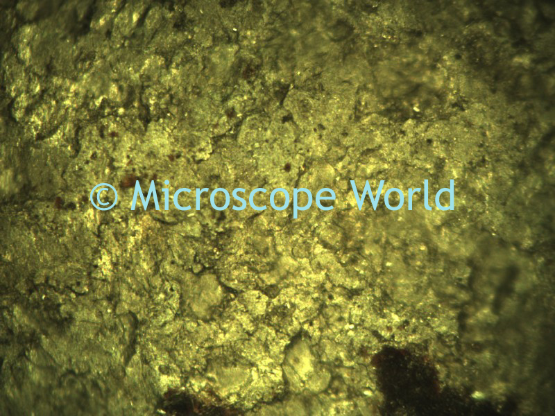 Microscope World Blog: Metals Under the Microscope