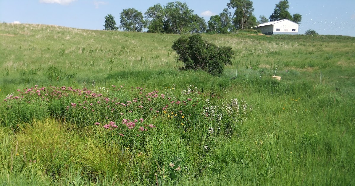 Restoring The Landscape With Native Plants: Creation of a Prairie Pond