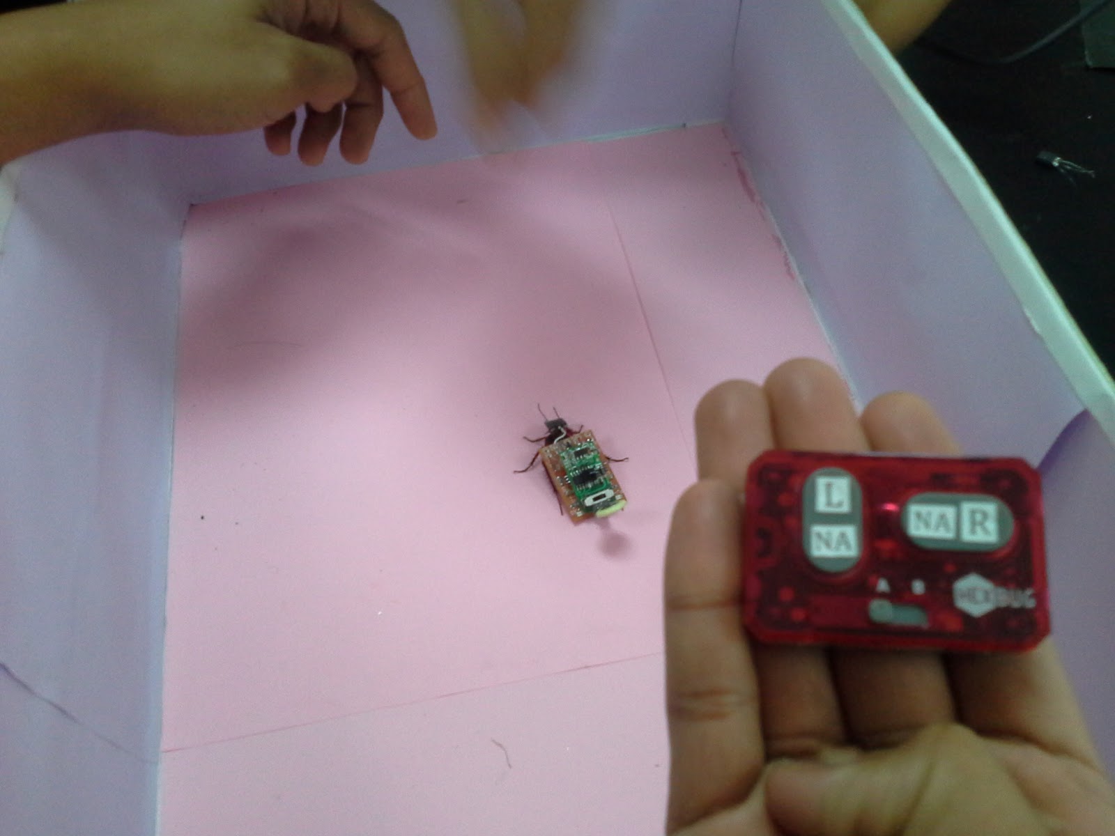 ROBOROACH BY PERMATAPINTAR | PERMATApintar's Biotechnologist!