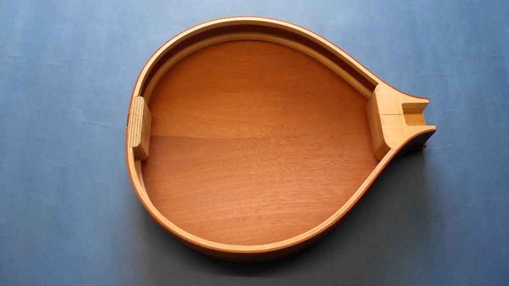 A Luthier's Blog: Archtop mando update