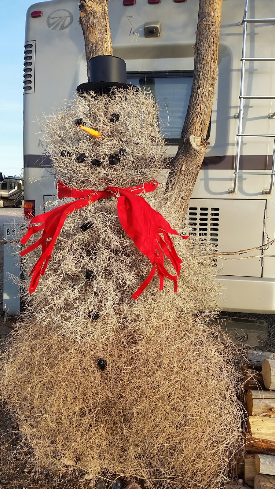 Montana Knights: Arizona Snowman