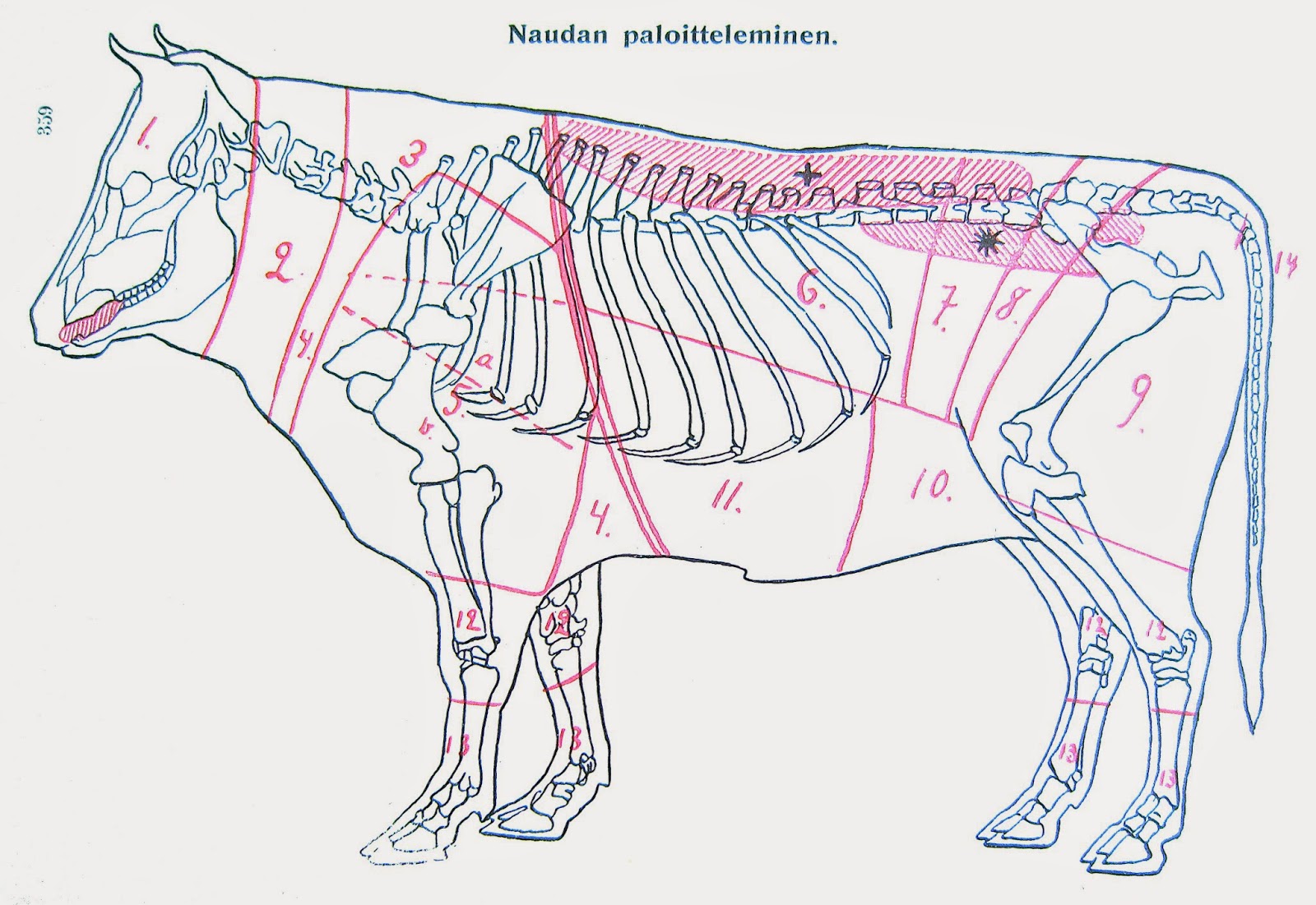 KOTIKOKISTA AMMATTILAISEKSI: LIHAKOULUN LYHYT OPPIMÄÄRÄ