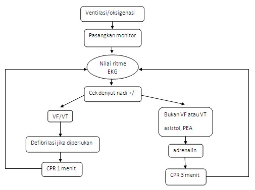 Anestesi Ivan Atjeh: Resusitasi Pada Pediatri