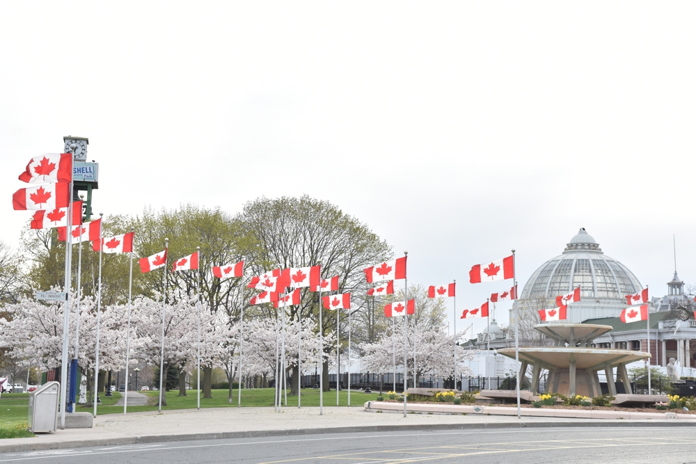 Toronto Grand Prix Tourist - A Toronto Blog: Toronto Cherry Blossom ...