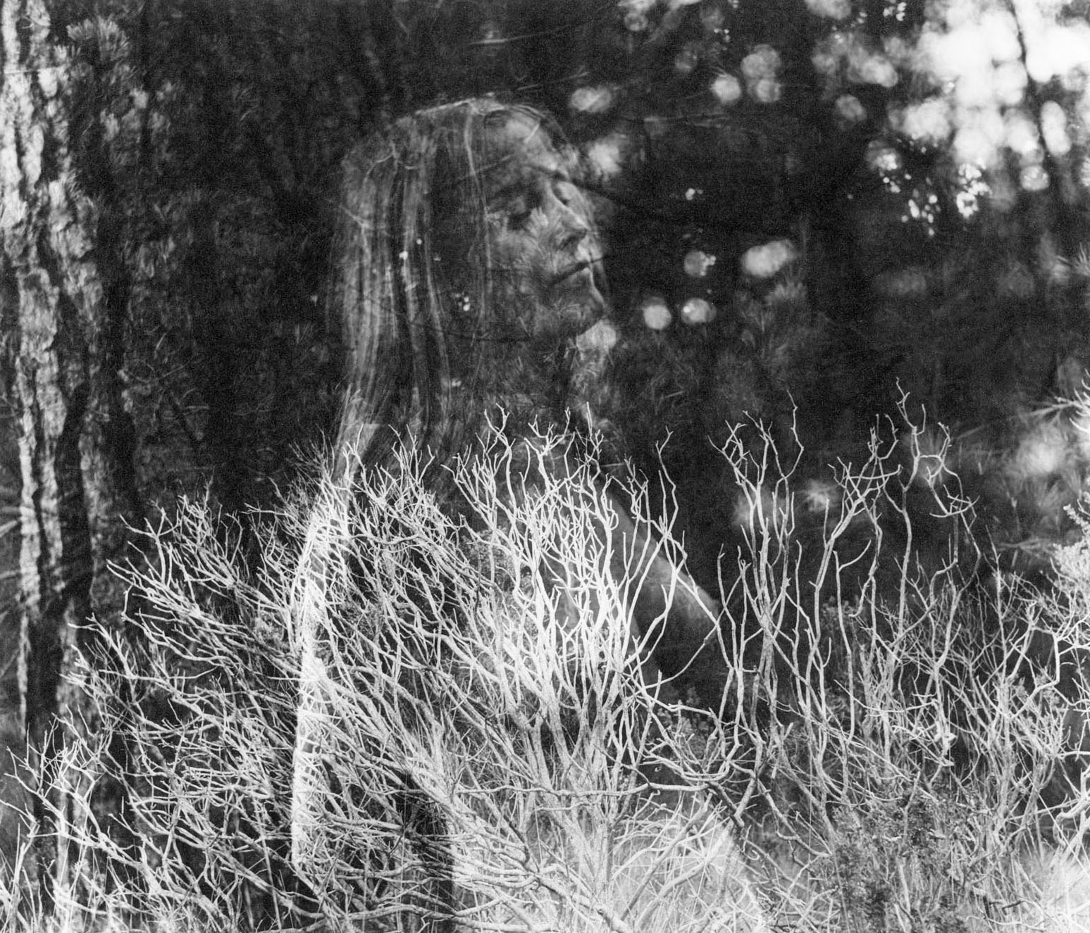 History in Photos: Imogen Cunningham