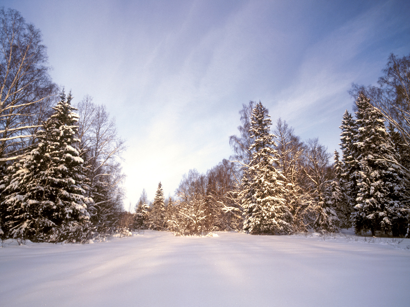 Bonewallpaper - Best desktop HD Wallpapers: Snow Desktop Wallpapers