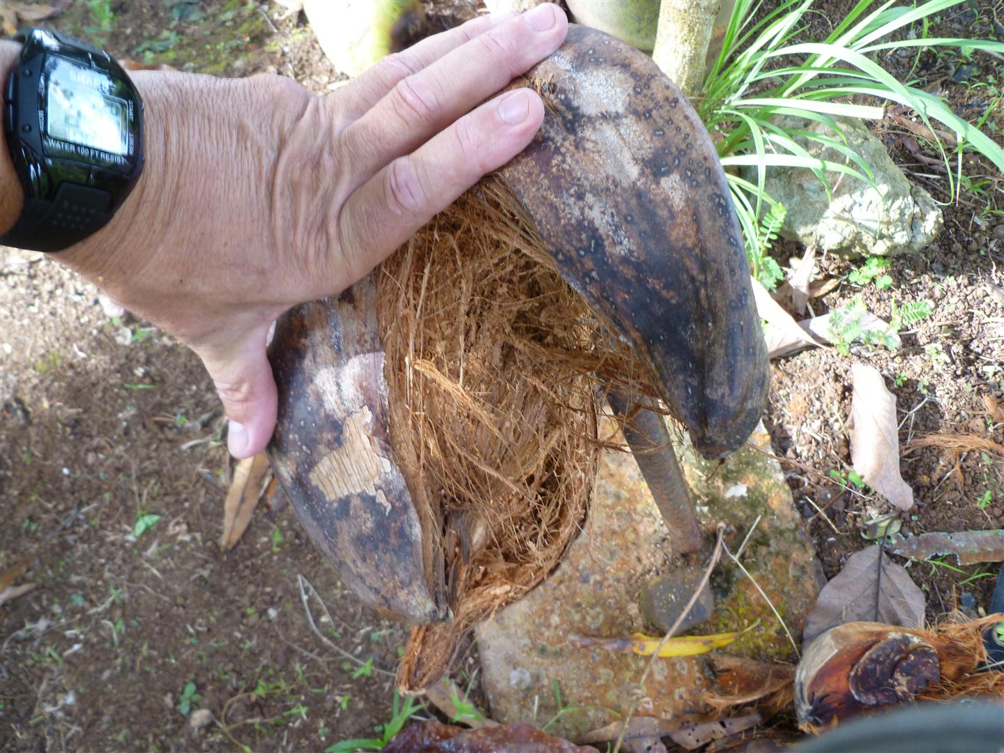 BBQGuam: Smoking Yellow Fin Tuna....Guam Style!!