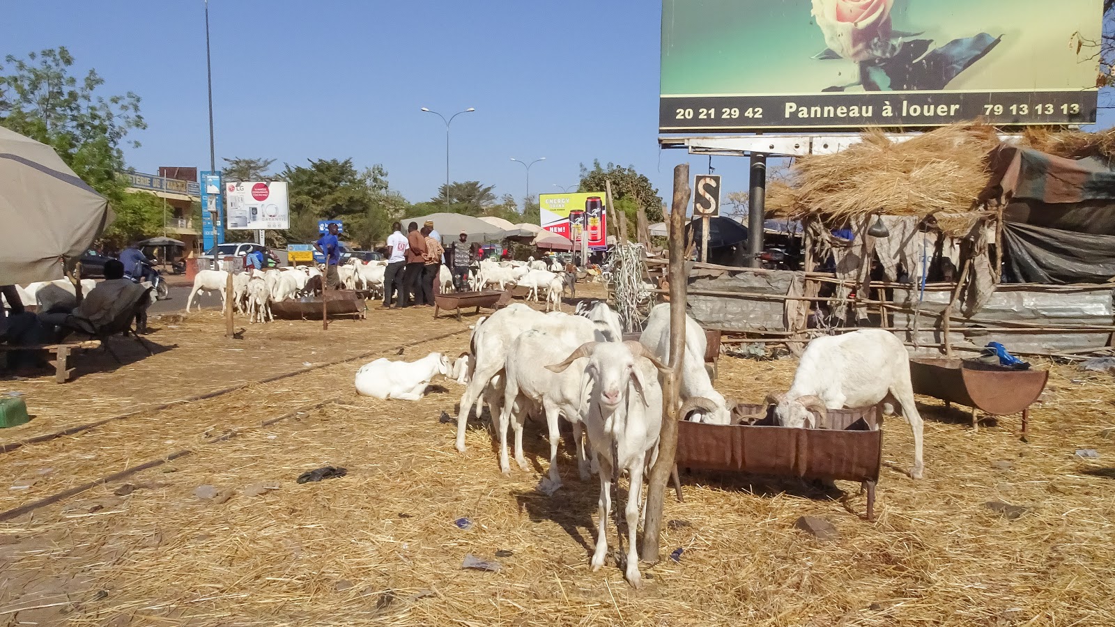 Mali - Hiking in Sub-Saharan Mountains - Sven's Travel Venues