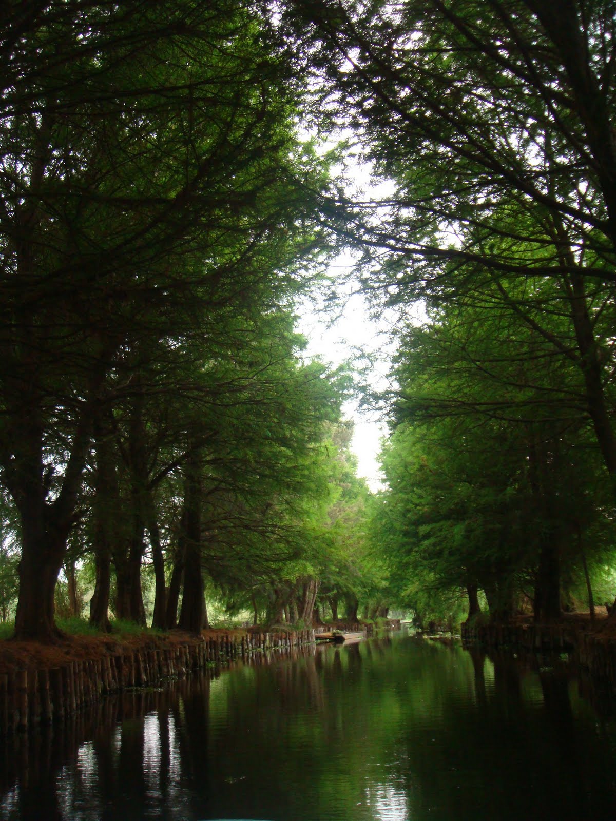 ETERNA VIDA: AGUA EN XOCHIMILCO