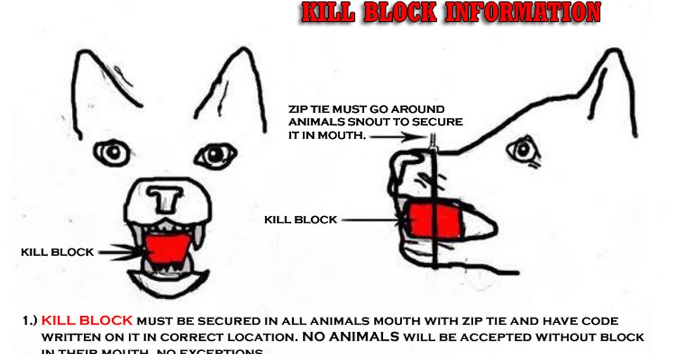 .: KILL BLOCK INFORMATION